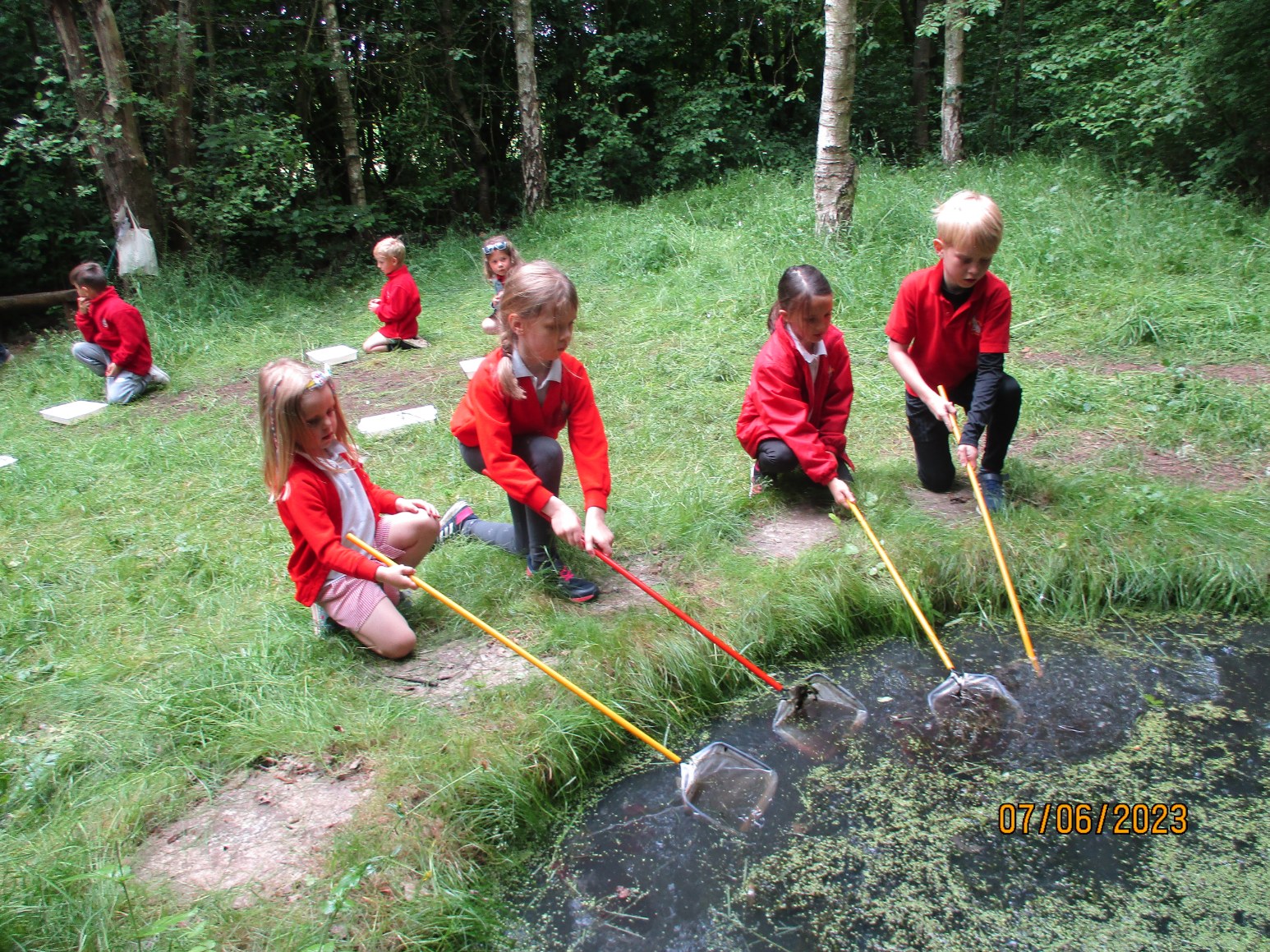 Pond dipping, minibeast hunting and animal homes - Willoughby Primary School, Nottinghamshire